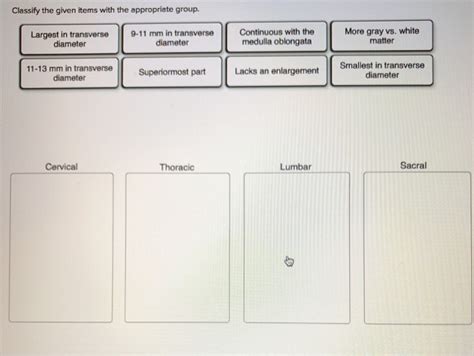 solved classify the given items with the appropriate group