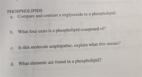 PHOSPHOLIPIDS A Compare And Contrast A Triglyceride Chegg