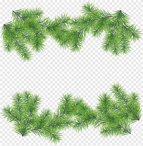 Christmas Tree Fir Tree Holidays Leaf Png PNGEgg