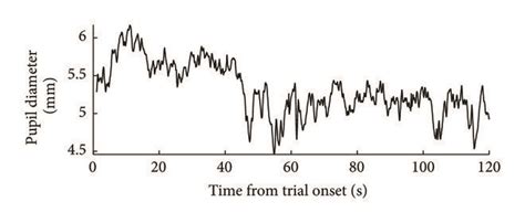 preprocessing of pupillometry data a segment of pupil recording