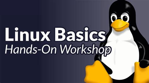 linux basics hands on workshop youtube