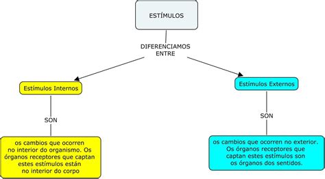 Mapa Conceptual Sobre Los Estímulos Brainlylat