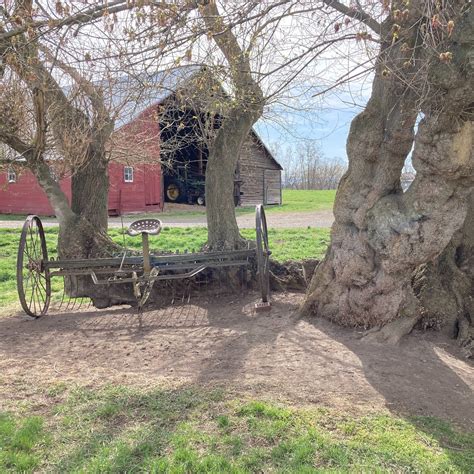 Bunchgrass Farmhouse Bunchgrassfarmhouse • Instagram Photos And Videos