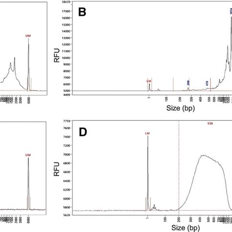 Representative Electropherogram Plots From Fragment Analyzer Showing Download Scientific