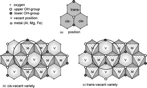 Overhead Diagrams Of A Trans And Cis Configurations Of Octahedral Download Scientific Diagram
