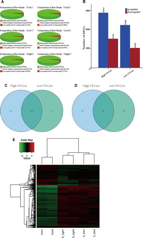 Distributions Of Up‐regulated And Down‐regulated Genes A Composition Download Scientific