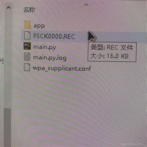 v831烧录 【app文件的烧写】 v831 app文件夹 csdn博客