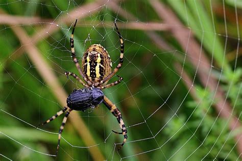 transform your ideas top u s web app development companies to watch kmf blogs