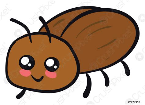 Beetle Illustration