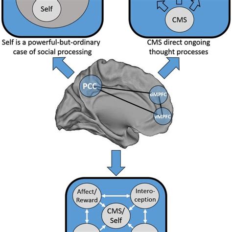 Schematic Representation Of Three Possible Distinct But Not Mutually
