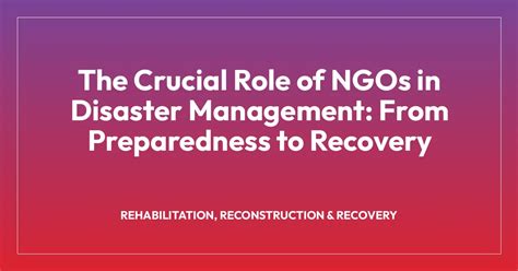 The Crucial Role Of Ngos In Disaster Management From Preparedness To