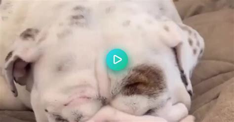 One More Time Please Album On Imgur