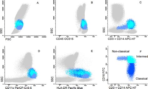 Natural Killer Cells 56bright16− Have Higher Counts In The Umbilical