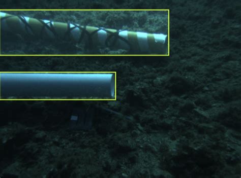 Top 6 Environment Datasets For Computer Vision Projects