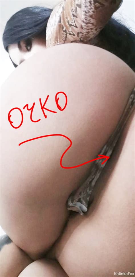 Kfox Misc I Porn Pictures Xxx Photos Sex Images 3745033 Pictoa