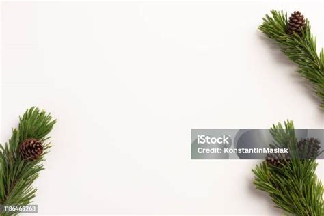 크리스마스 구성 흰색 배경에 원뿔이있는 가문비 나무 가지 크리스마스 겨울 새해 컨셉 플랫 레이 상단 보기 복사 공간 가문비나무에