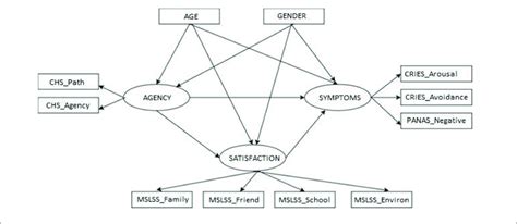 Conceptual Model Of Pathways Connecting Latent Variables And Observed