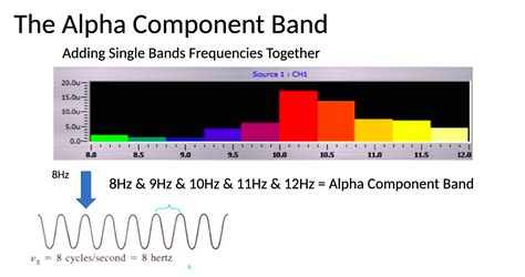 Understanding Brainwave Frequency How Dominant Frequencies Guide Neurofeedback Training