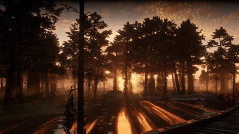 Florida Vegetation For Swamps V1 0
