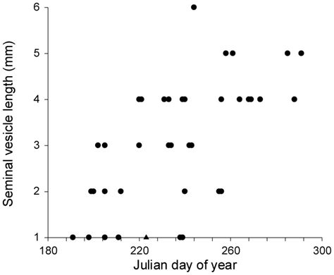 Circles Represent Adults And Triangles Represent Juveniles The Download Scientific Diagram