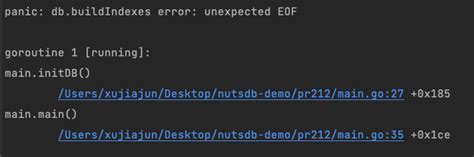 panic db buildindexes error unexpected eof · issue 244 · nutsdb