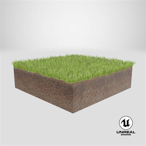 Grass Cross Sections 01 3d Model 49 Max C4d Obj Ma Upk