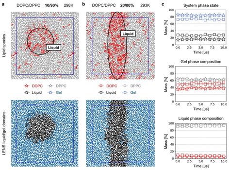 Characterization Of The Phase Separation In Dopc Dppc Mixtures With Download Scientific Diagram