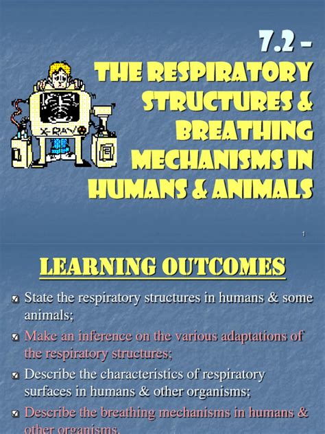 Pdf 7 2 Respiratory System Dokumen Tips