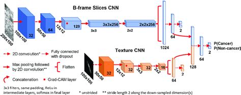 ensemble learning architecture integrating b frame slice pixels and