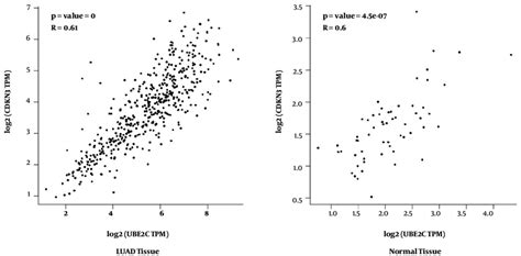 Correlation Of Ube2c And Cdkn3 Expression In Luad And Normal Tissues