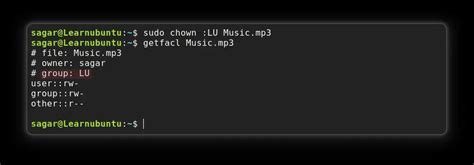 How To Change File Ownership In Ubuntu