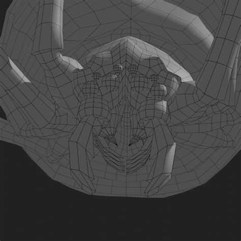 The Devour Spider Rigged And Animated Low Poly 3d Model Turbosquid