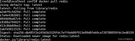 （五）docker 安装 Redis镜像启动redis容器（超详细） Csdn博客