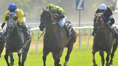 Rosehill Gardens Jacob Perrett Chases City Win With Capitano Herald Sun