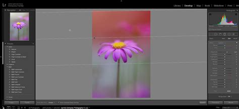 5 Post Processing Effects To Instantly Enhance Your Photos