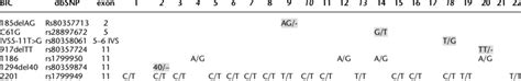 Sequence Variations Identified In Brca1 Download Table