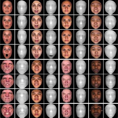 This Set Of Graphs Shows The Results We Predicted For Faces With Download Scientific Diagram