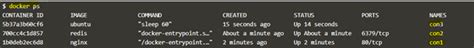 Docker Wait How Wait Command Works In Docker With Examples