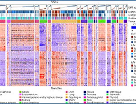 Astalavista Analysis Of Alternative Splicing Events In Custom Gene