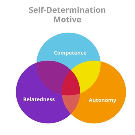 Self Determination Theory Autonomy