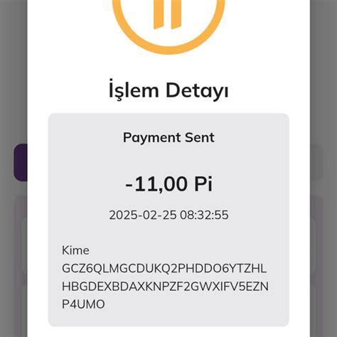 Pi Network Hesabımdan İzinsiz Pi Coin Transferi Şikayetvar