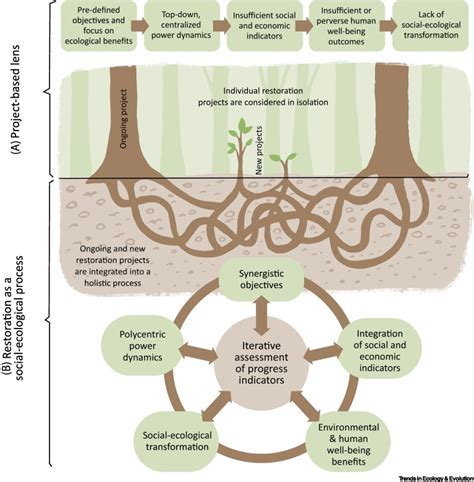 Ecology And Ecosystem