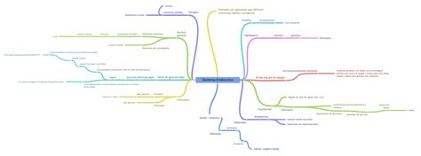 Sistema Endocrino Coggle Diagram Sistema Endocrino Coggle Diagram