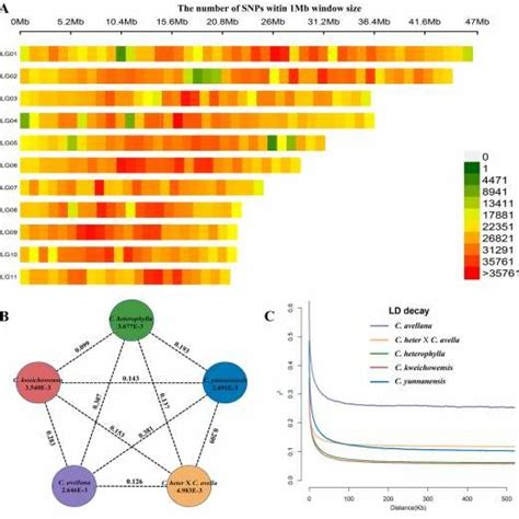 Selection Sweep Signals And Candidate Positively Selected Genes Psgs Download Scientific
