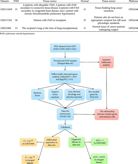 characteristics of three datasets download scientific diagram