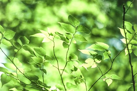 Ssbj 対応アドバイザリー ソコテック・サーティフィケーション・ジャパン株式会社