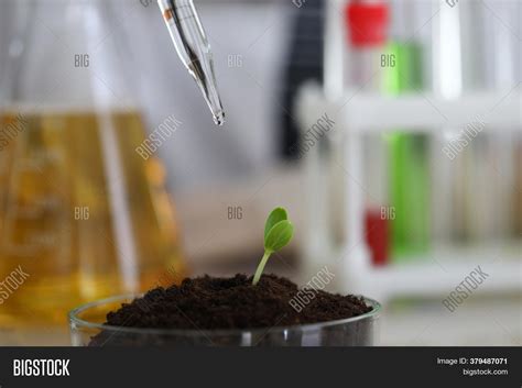 Sampling Laboratory Image Photo Free Trial Bigstock