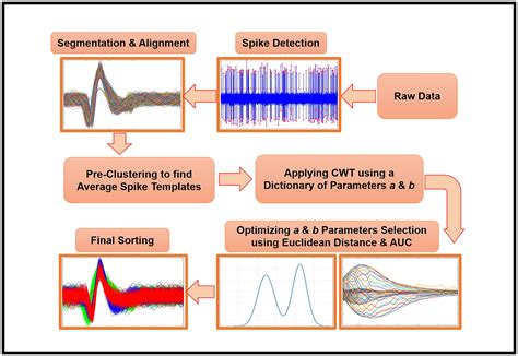 a new spike sorting algorithm based on continuous wavelet transform and