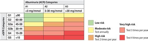 Healthservices Gov Bc Ca Msp Protoguides Gps Ckd Pdf