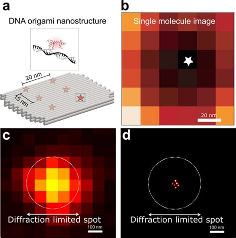Super Resolution Imaging With [image] Eurekalert Science News Releases